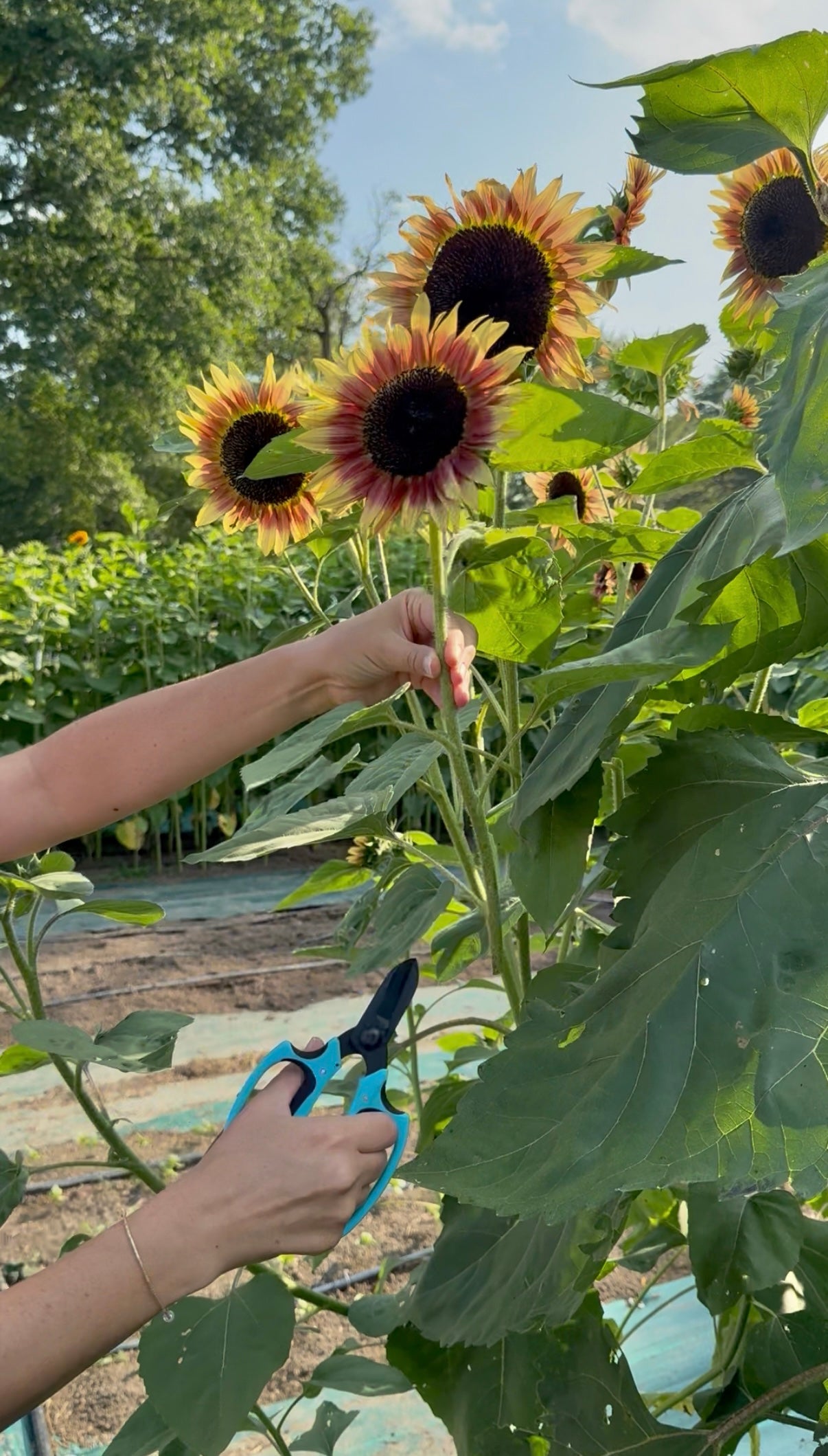Home Blog Sustainable Floral Design: Using What Nature Gives You