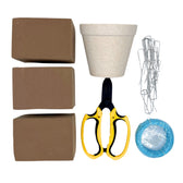 OASIS® Forage Products™