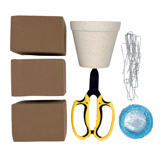 Carbon-neutral shipping on all orders